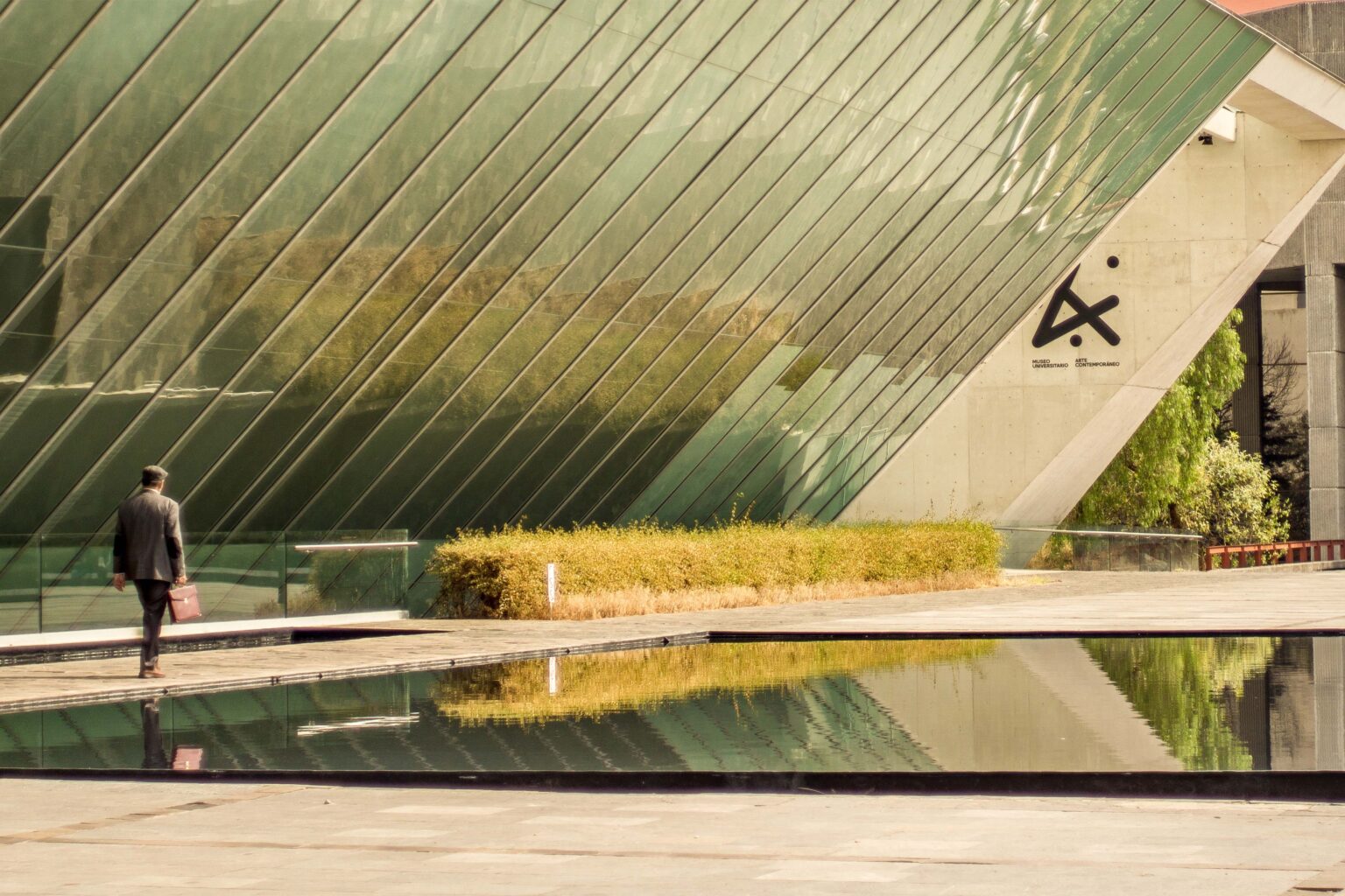 muac-museo-universitario-de-arte-moderno-contemporary-art-university ...